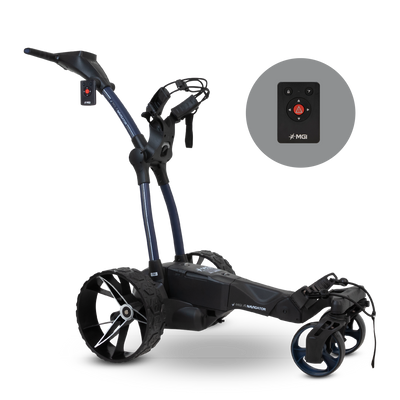 Electric Buggies Collection Page